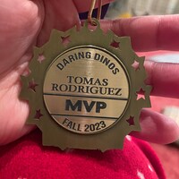 SOFTBALL Display, HOME RUN or Game Holder, Autographed Ball Display - Etsy