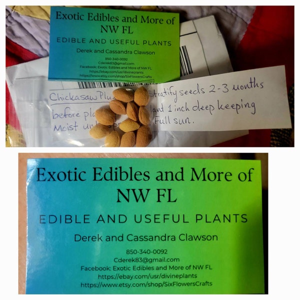 Wild Huckleberry - 100+ Seeds - Wildlife Food - Etsy