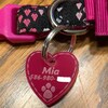 Dog Tag Personalize Pet Tag Pet Tag for Dog Pet Name Tag - Etsy UK