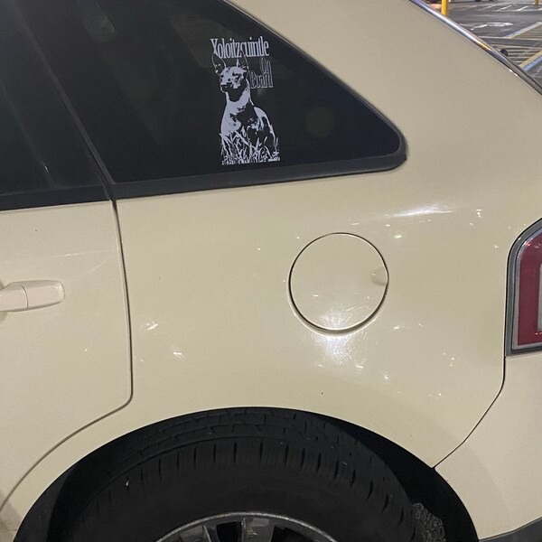 Xoloitzcuintle on Board - Car Window Sticker - Xolo Dog Sign Decal ...