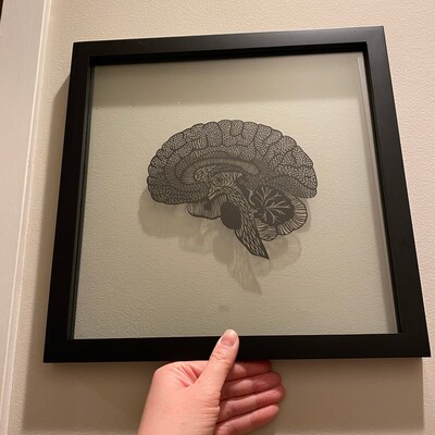 Anatomical Brain Laser-cut Papercutting Artwork, Neurology Gift, Doctor ...