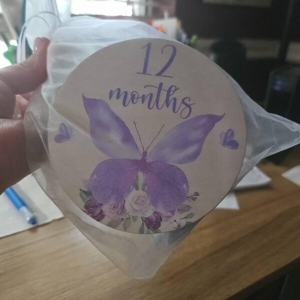 Butterfly Milestone Cards, Baby Milestone Butterfly Discs Marker, Wood ...