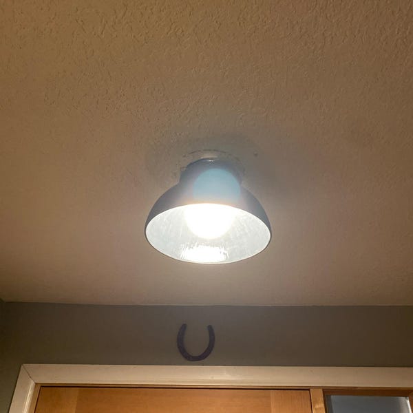 Large Scalloped Montebello Pendant Light Fixture - Bone - Etsy