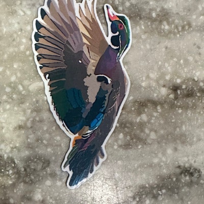 Wood Duck Flying Woodie Sticker Woodduck - Etsy