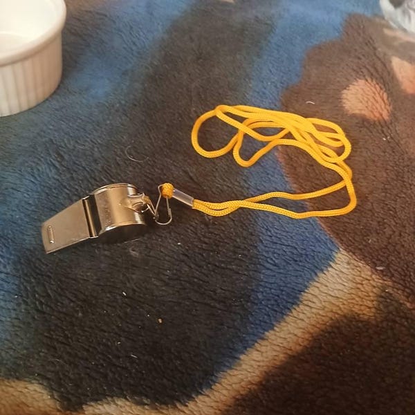 Metal Whistle| Anti-ice Safety Whistle With Ultra Loud Sound| Emergency ...
