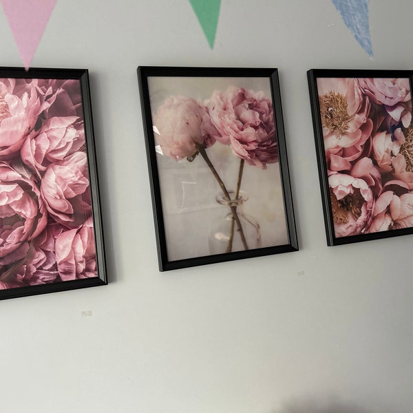 Pink Floral Print Set of 3, Pink Peonies Wall Art, Flower Prints ...