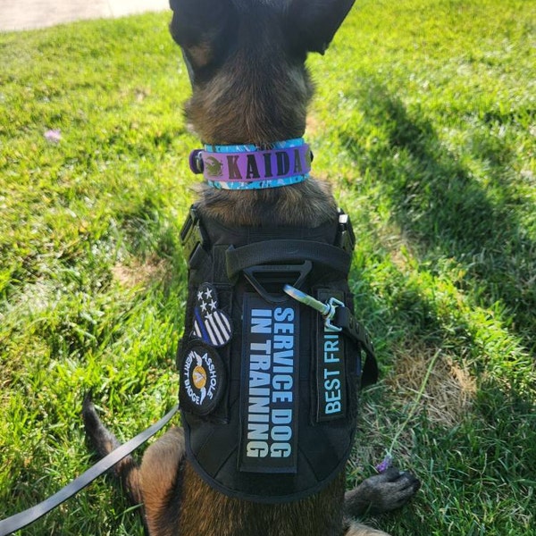 Custom Name Splatter Paint - Biothane Dog Collar - Two-tone 1.5 in ...