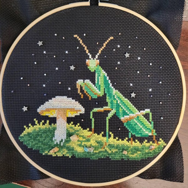Mantis Cross Stitch Pattern, Beetle Embroidery, Witchy Cottagecore ...