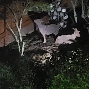 Rusty Goat, Rusty Lawn Art, Metal Art, Metal Silhouettes, Metal Lawn ...