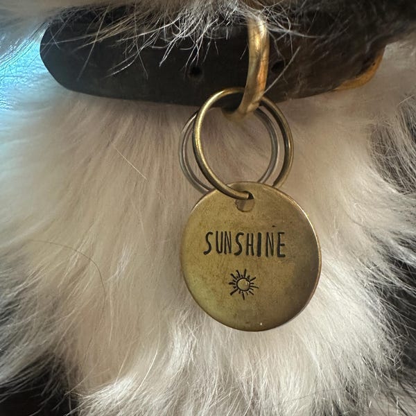 Dog ID Tag, Sun Dog Tag, Trees Dog Tag, Dog Tags, Sunshine Dog Tag, Pet ...