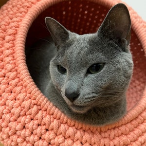 Set Cat House and Pet Tunnel Digital Tutorial Manual PDF Format With ...