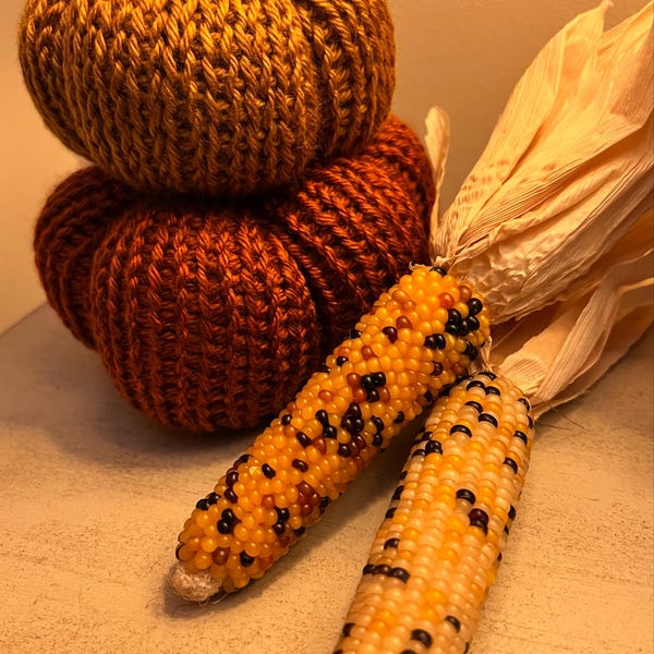 Mini Indian Corn, 4" to 5" Length, 5, 10, 20, 30, 40 and 50 Count, FREE ...
