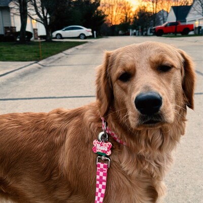 Retro Smiley Dog Tag Retro Dog Tag Pet Tag Custom Dog Tag Personalized ...