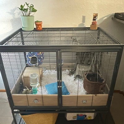 Original Full Sets of Cage Guards / Cage Poop Guards SAFEST & MOST ...