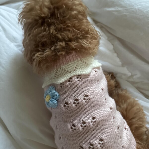 Little Bear Dog Sweater,soft Beige Dog Sweater,cat Sweater, Lightweight ...