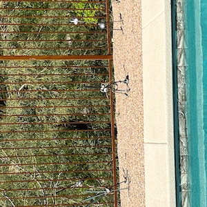 Wrench Saw Lizard Garden Recycled Art - Etsy