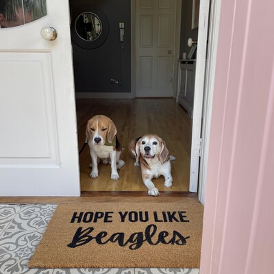 Personalized in My Bride Era Comfort Colors Shirt, Retro Bride, Future ...