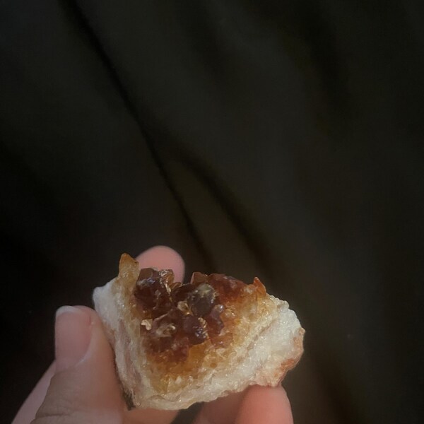 Laser Engraved Animals on Wood Rounds ~live Edge Engraved Animals on ...