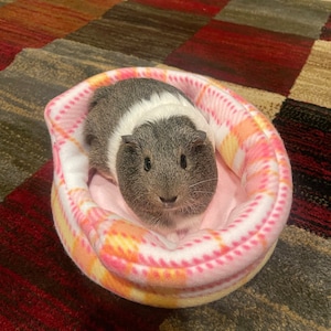 Cuddle Cup W/pee Pad Customizable 10x5 - Etsy