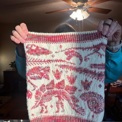 Fossil Frenzy Tee adult Pattern, Knit Dinosaur Unisex Sweater, Digital ...