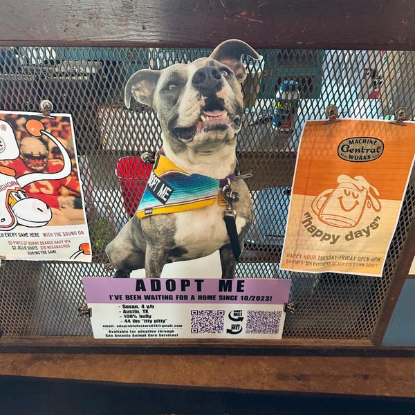 Custom Fat Head Big Face Cutout for Sports Celebration Birthdays Events ...