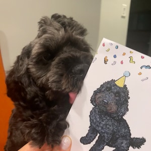 Ruby Red Cockapoo Print Cockapoo Wall Art - Etsy