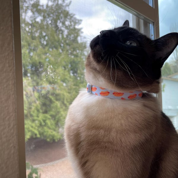 Fish Cat Collar With Bell and Charm, Cute Boy Cat Breakaway Collar ...