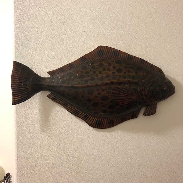 Speckled Pavon, Cichla Temensis, Peacock Cichlid, Tucunare Pinima, 9-12 ...