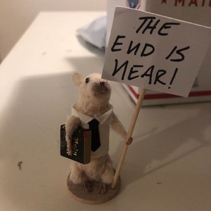 Taxidermy Mouse Pope Francis | Etsy