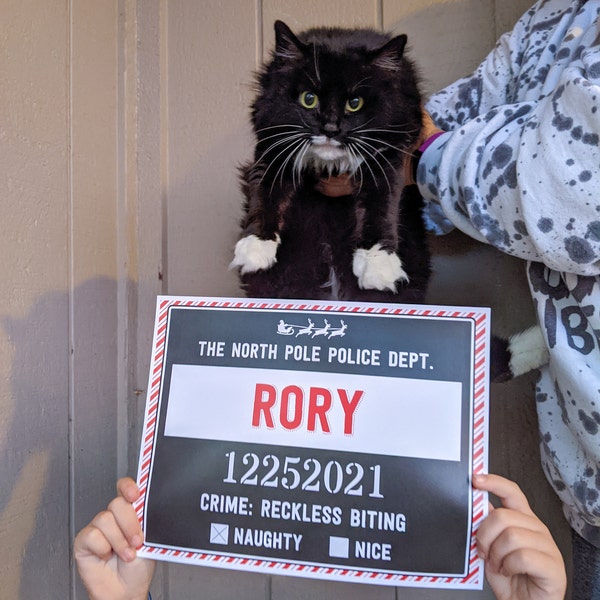 Christmas Mugshot Sign Template: Editable Photo Booth Prop (digital ...