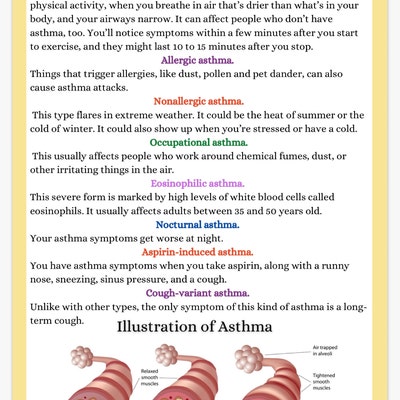 Nursing School Whole Bundle Shop nursing Study Guide - Etsy