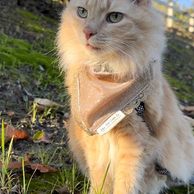 Toads and Mushrooms, toadally Fungi Cream Velvet, Forest, Reversible ...