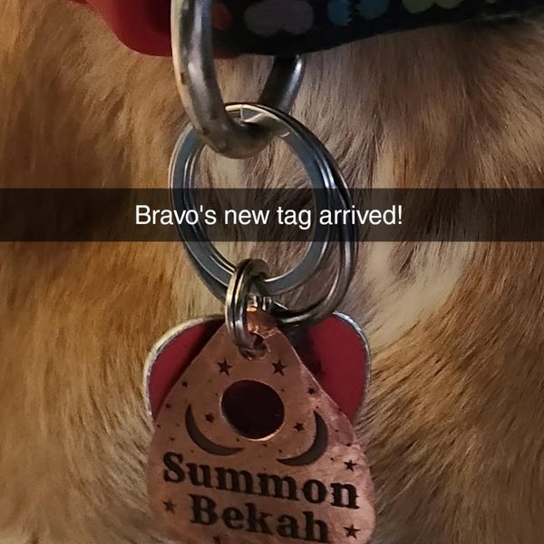 Dog Tags for Dog,custom Pet Tag,personalized Dog Tag,pet Id,collar Tags ...