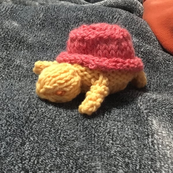 Turtle Family Knitting Pattern PDF - Etsy