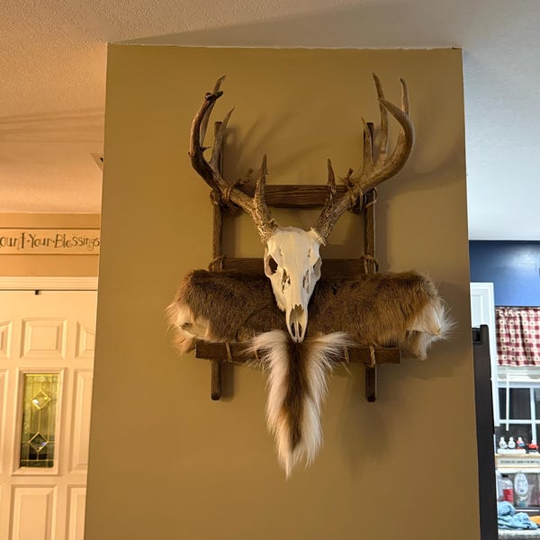 Handmade Taxidermy Backpack Mount Frame, Back Pack Mount, Pack Mount ...