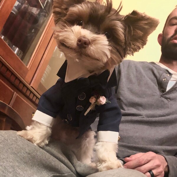 Dog Tuxedo, Dog Suit, Dog Wedding Attire, Navy Blue, Navy Blue Dog ...