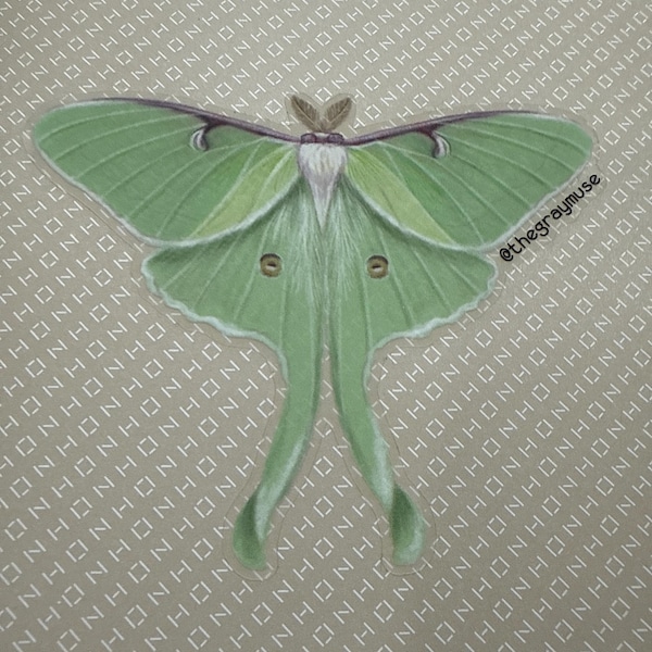 Deluxe MAGNETIC Locking Pin Back for Enamel Pins rad Backs, Set of 2 ...