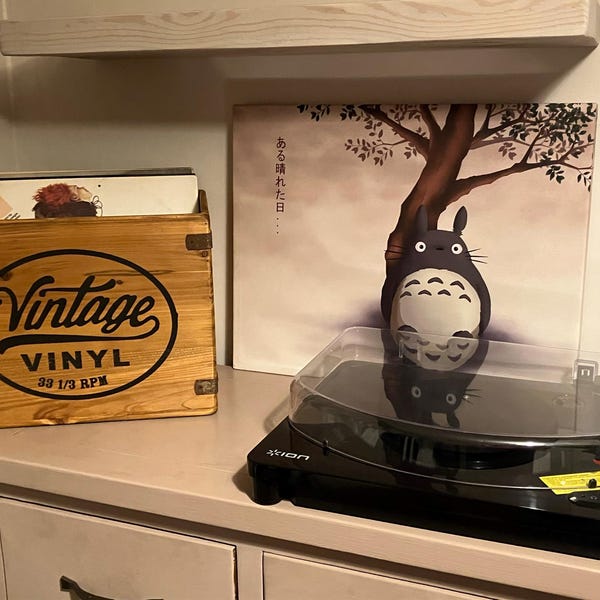 Pair of Quirky Toucan Candle Holders | Eclectic Decor | Gift Idea ...