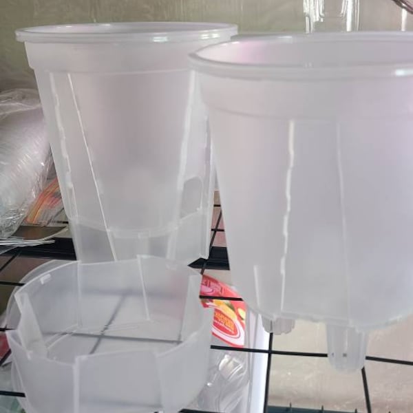 Extra Large Jumbo Clear Plastic Plant Pots for Houseplants, Aroids ...