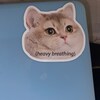 POGGERS Twitch Emote Vinyl Sticker or Magnet | Laptop Stickers ...