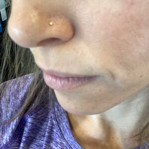 Round Septum Retainer-gold Septum Retainer-septum | Etsy