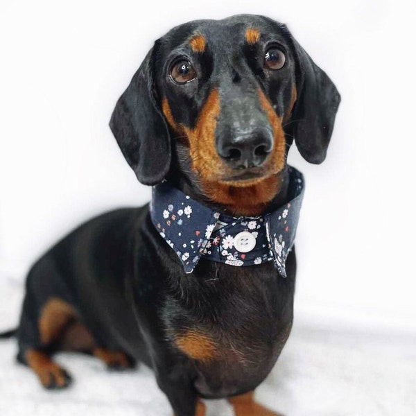 False Shirt Collar for Dog Tutorial and Sewing Patterns | Dog Neck ...
