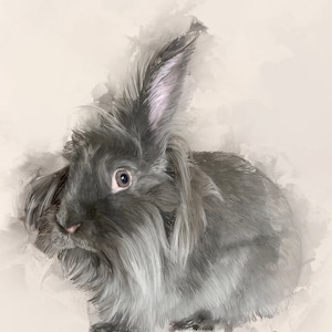 Custom Bird Portrait Beautiful Pet Artwork Custom Parrot - Etsy