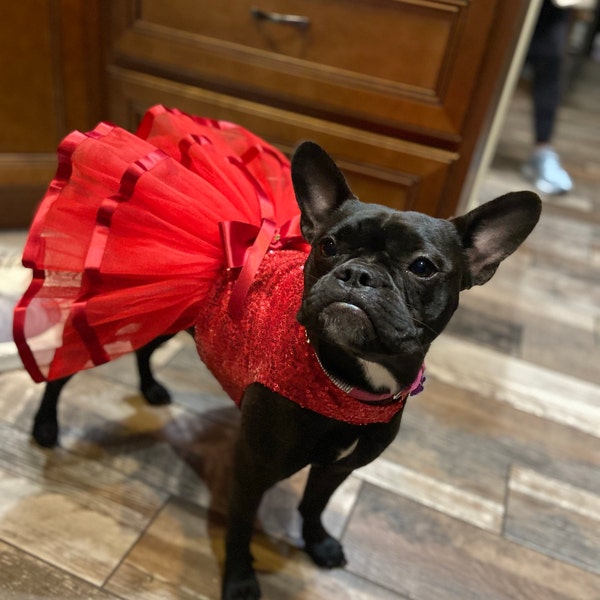 Beautiful Pink Sequinned Tu Tu Dog Dress for Small Breed Dogs Designer ...