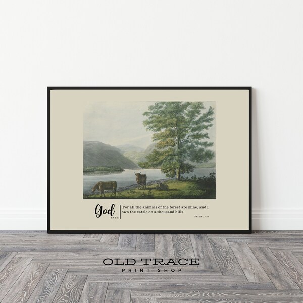 Black Frame Horizontal, Psd Mockup, Black Frame Landscape, A4 ...