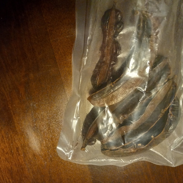 Prekese / Aidan Fruit / Tetrapleura Tetraplera / 6 Pieces / 10 Pieces ...