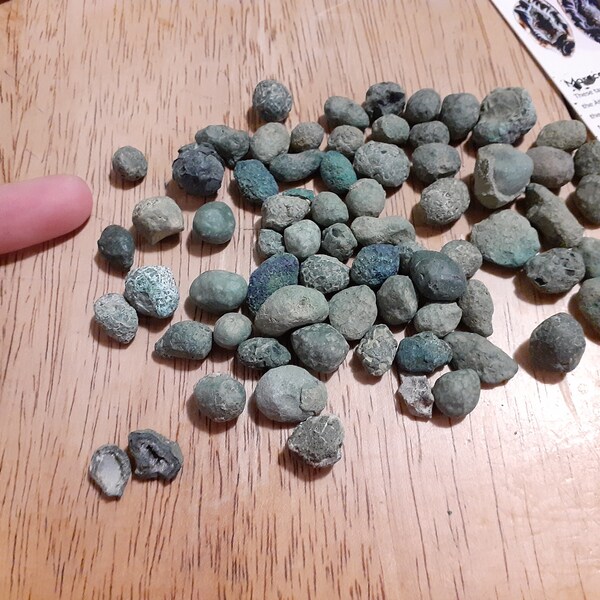 Bag of Tabasco Geodes Unopened (whole Geode) VERY SMALL GEODES - Etsy