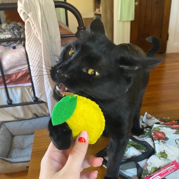 Turnip Catnip Cat Toy Hand-sewn Handmade Homegrown Cute Catnip Gift for ...