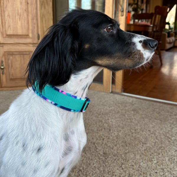 Patch Collar, Hook and Loop, Tactical Collar, Search and Rescue, Do Not ...