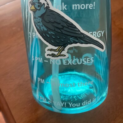 Birdie Sanders Sticker / Vinyl / Laptop Sticker / Small Bumper Sticker ...